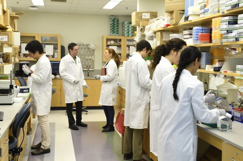 Undergraduate - Johns Hopkins Biomedical Engineering