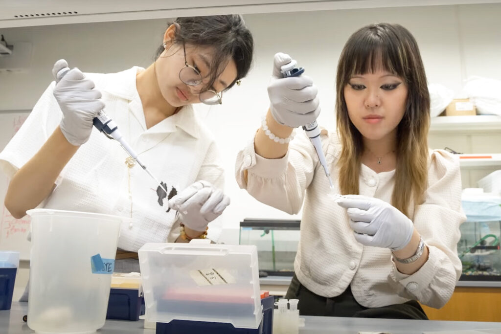 Undergraduate - Johns Hopkins Biomedical Engineering